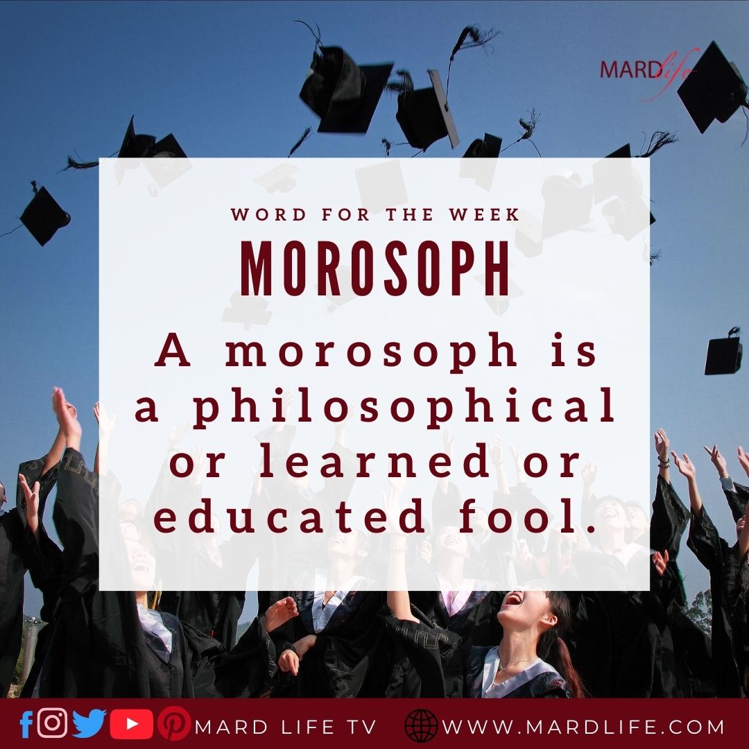 Morosoph (Word For The Week) | MARD LIFE